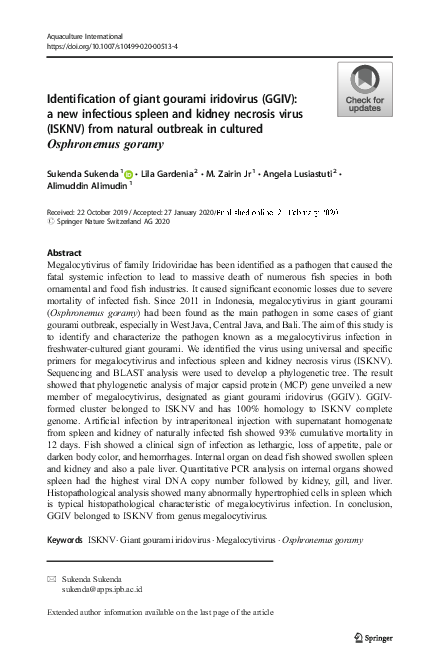 (PDF) Identification of giant gourami iridovirus (GGIV): a new ...