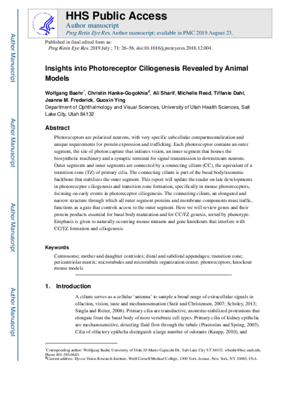 (PDF) Insights into photoreceptor ciliogenesis revealed by animal models