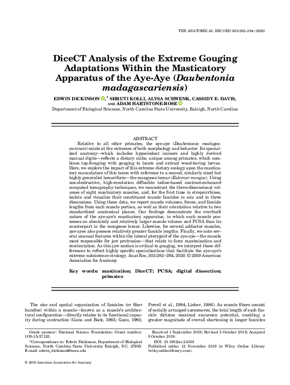 (PDF) DiceCT Analysis of the Extreme Gouging Adaptations Within the ...