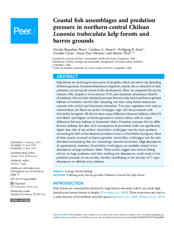 (PDF) Coastal fish assemblages and predation pressure in northern ...