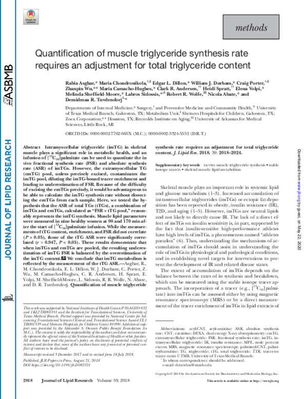 Quantification of muscle triglyceride synthesis rate requires an ...