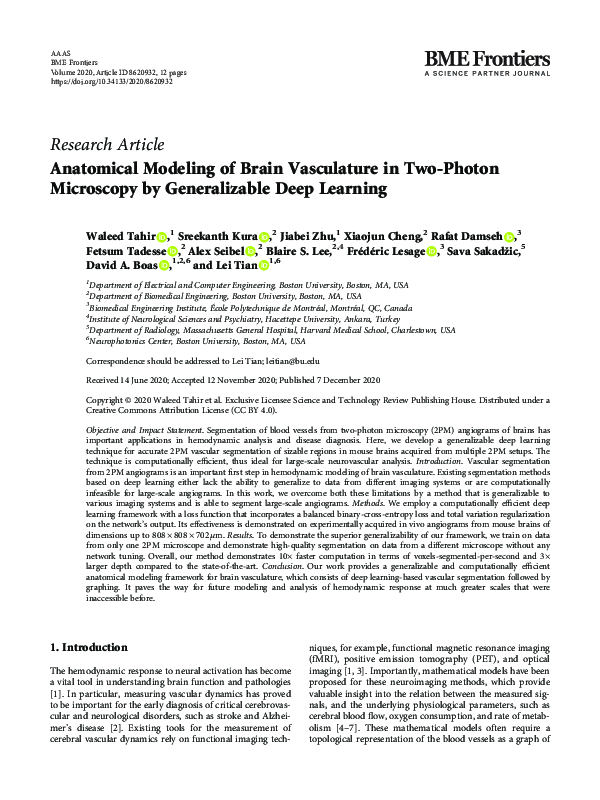 Pdf Anatomical Modeling Of Brain Vasculature In Two Photon Microscopy By Generalizable Deep