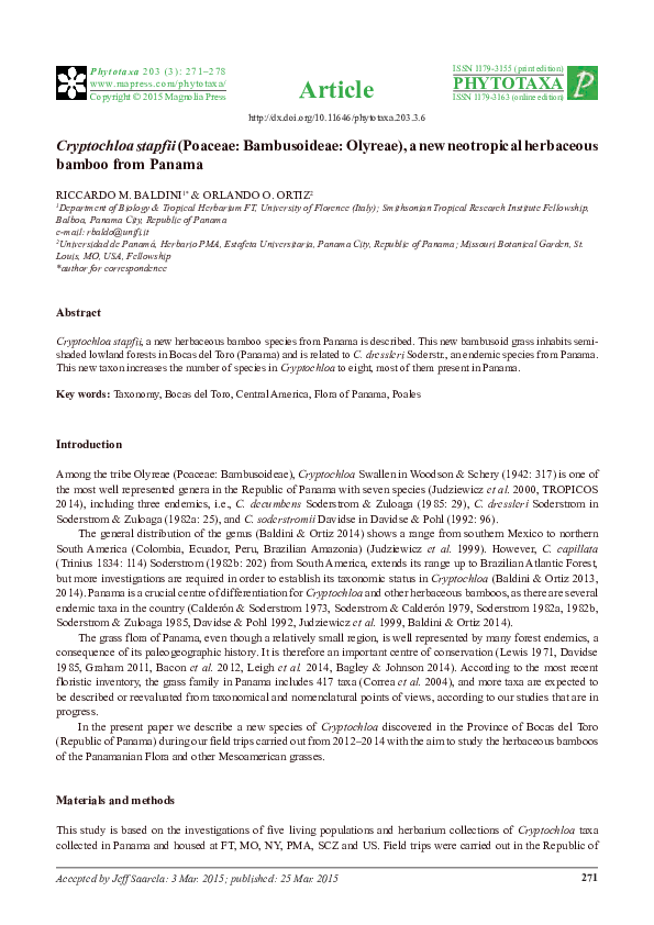 (PDF) Cryptochloa stapfii (Poaceae: Bambusoideae: Olyreae), a new ...