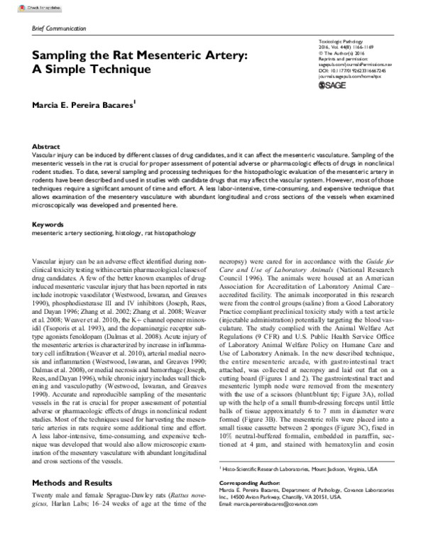 (PDF) Sampling the Rat Mesenteric Artery