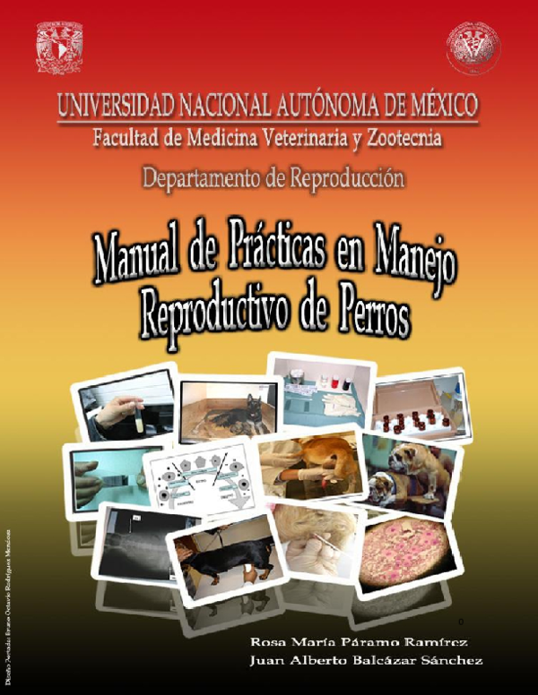 (PDF) Manual de Prácticas en Manejo Reproductivo de Perros, FMVZ - UNAM ...