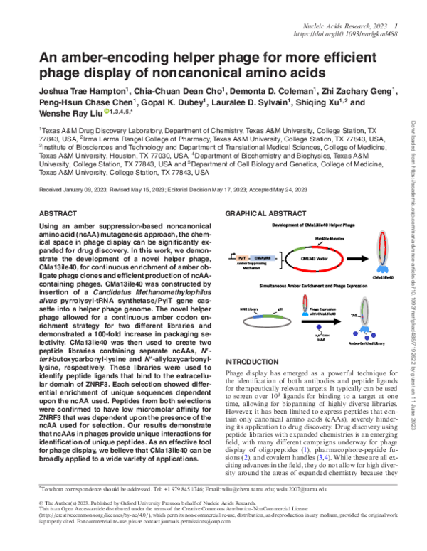 (PDF) An amber-encoding helper phage for more efficient phage display ...