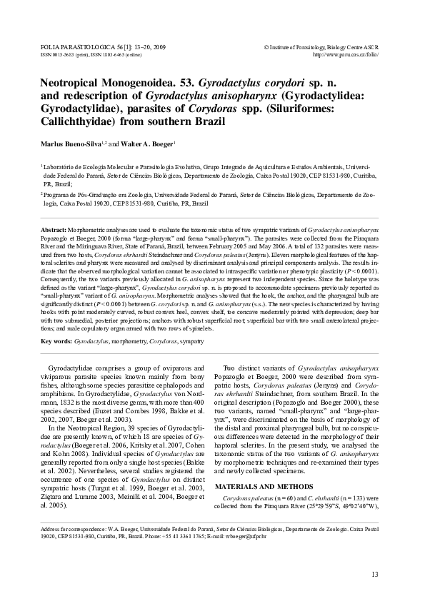 (PDF) Neotropical Monogenoidea. 53. Gyrodactylus corydori sp. n. and ...