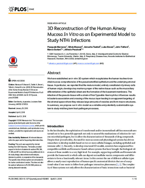 (PDF) 3D Reconstruction of the Human Airway Mucosa In Vitro as an Experimental Model to Study ...