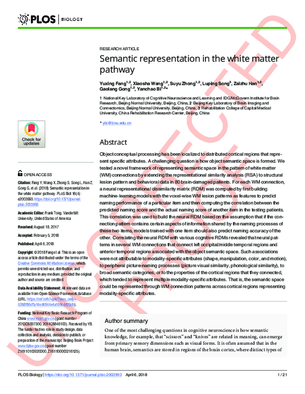 (PDF) Semantic representation in the white matter pathway