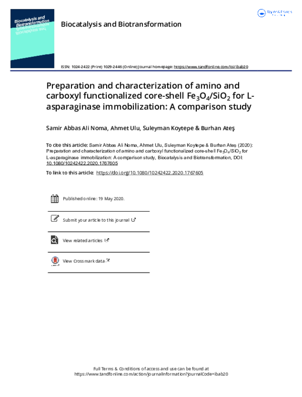 (PDF) Preparation and characterization of amino and carboxyl functionalized core-shell Fe3O4 ...