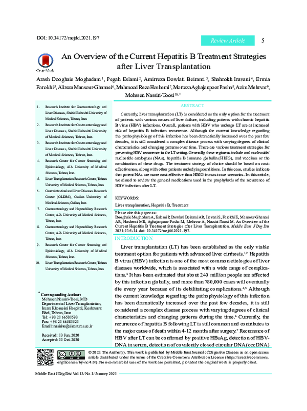 (PDF) An Overview of the Current Hepatitis B Treatment Strategies after ...