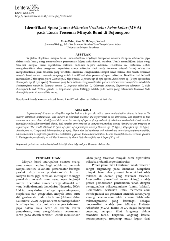 (PDF) Identifikasi Spora Jamur Mikoriza Vesikular Arbuskular (MVA) pada Tanah Tercemar Minyak ...
