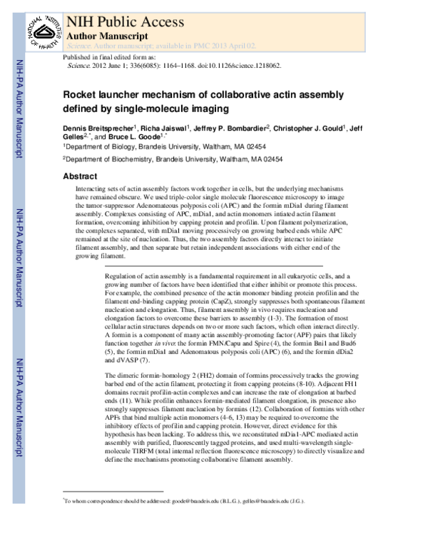 (PDF) Rocket Launcher Mechanism of Collaborative Actin Assembly Defined ...