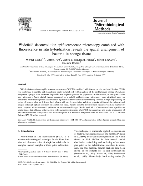 (PDF) Widefield deconvolution epifluorescence microscopy combined with fluorescence in situ ...