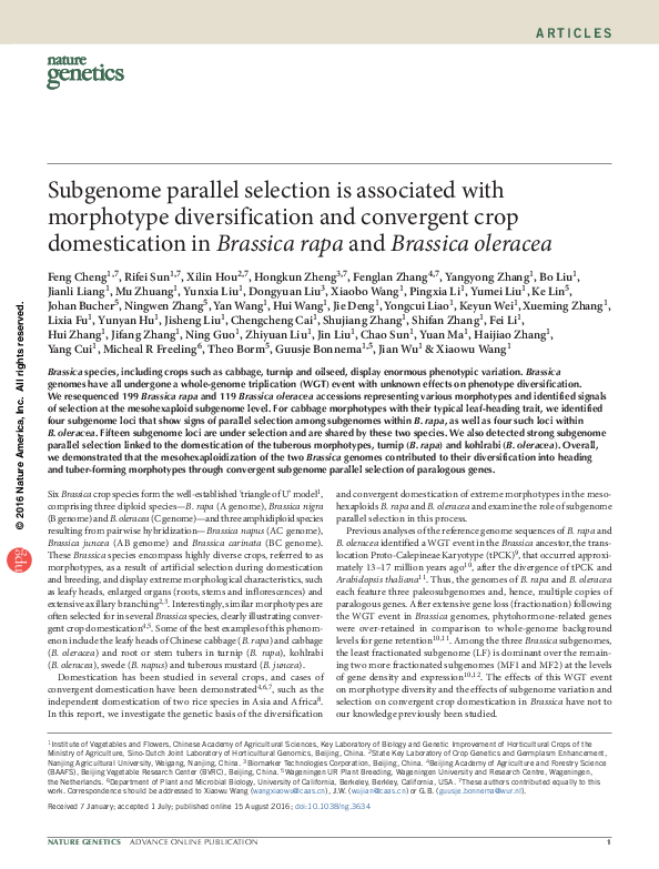 (PDF) Subgenome parallel selection is associated with morphotype ...