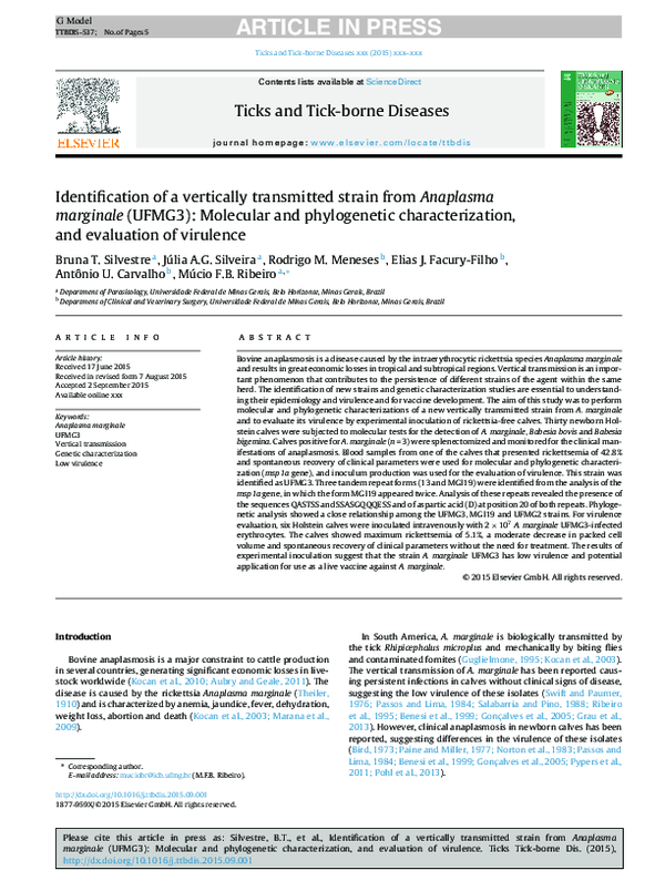 (PDF) Identification of a vertically transmitted strain from Anaplasma ...