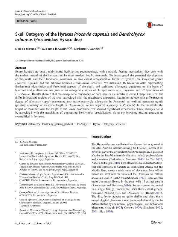 (PDF) Skull Ontogeny of the Hyraxes Procavia capensis and Dendrohyrax ...