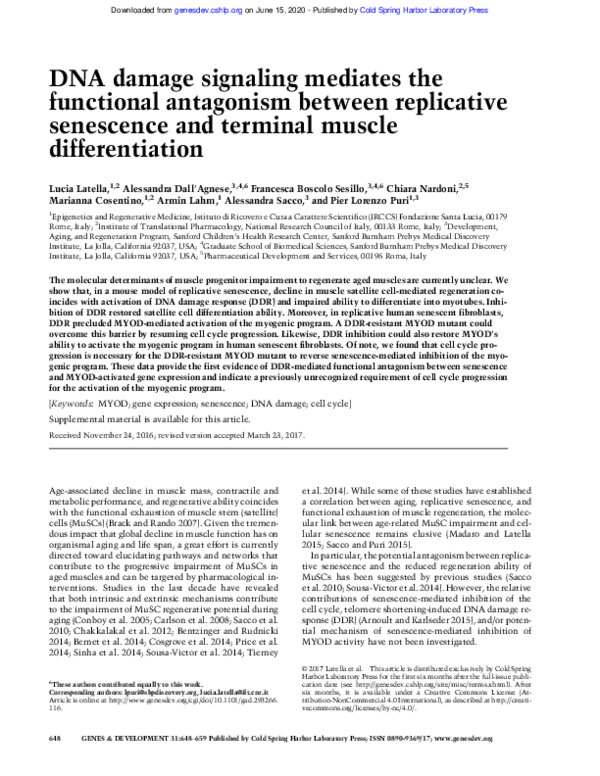 (PDF) DNA damage signaling mediates the functional antagonism between ...