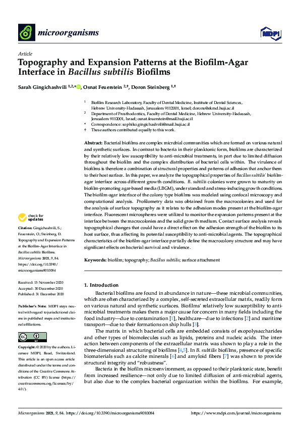 (PDF) Topography and Expansion Patterns at the Biofilm-Agar Interface ...