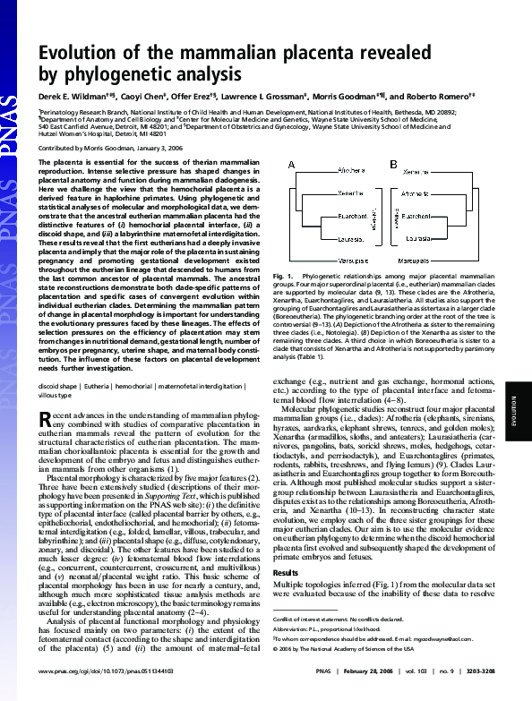 (PDF) Evolution of the mammalian placenta revealed by phylogenetic ...