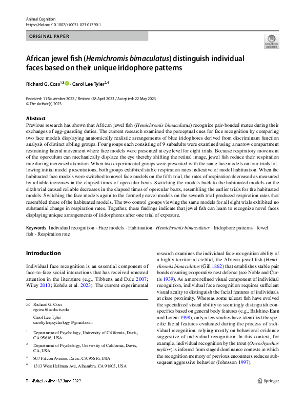 (PDF) African jewel fish (Hemichromis bimaculatus) distinguish ...