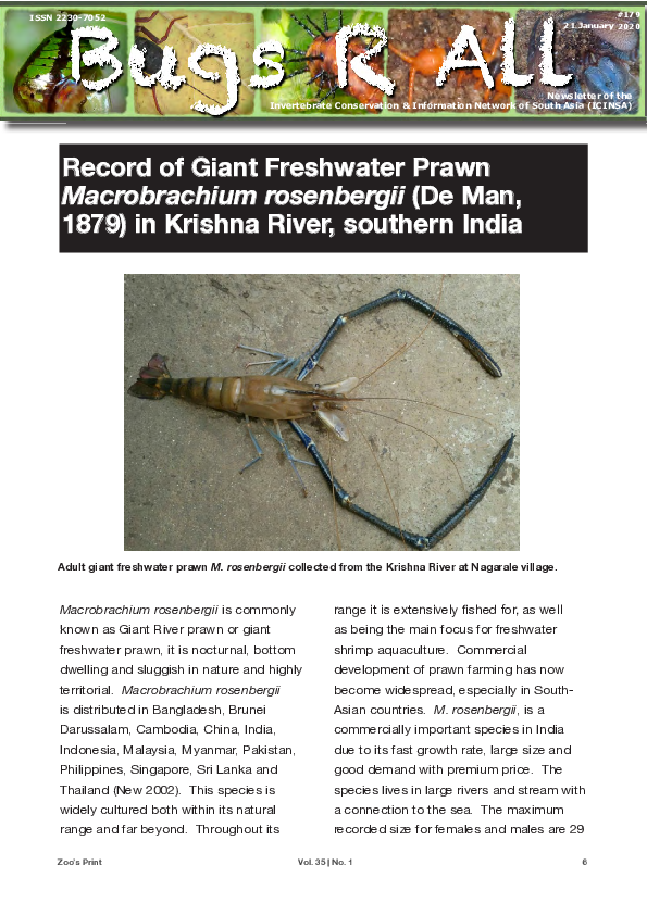 (PDF) Record of Giant Freshwater Prawn Macrobrachium rosenbergii (De ...