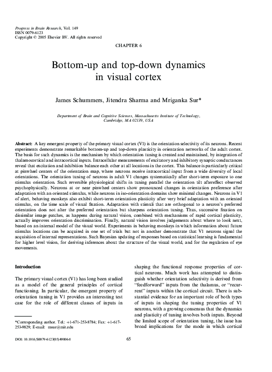 (PDF) Bottom-up and top-down dynamics in visual cortex