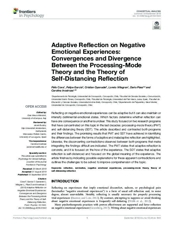 Adaptive Reflection on Negative Emotional Experiences: Convergences and ...