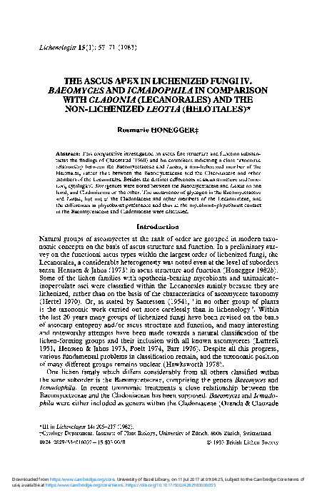 (PDF) The Ascus Apex in Lichenized Fungi IV. Baeomyces and Icmadophila ...