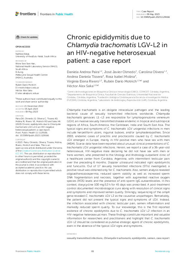 (PDF) Chronic epididymitis due to Chlamydia trachomatis LGV-L2 in an ...