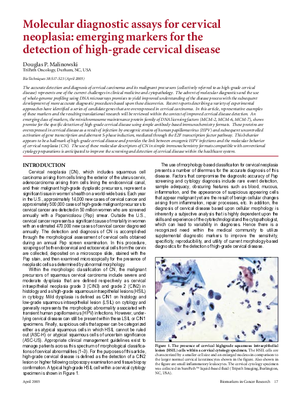 (PDF) Molecular diagnostic assays for cervical neoplasia: emerging ...