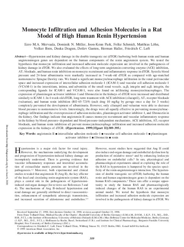 (PDF) Monocyte Infiltration and Adhesion Molecules in a Rat Model of ...