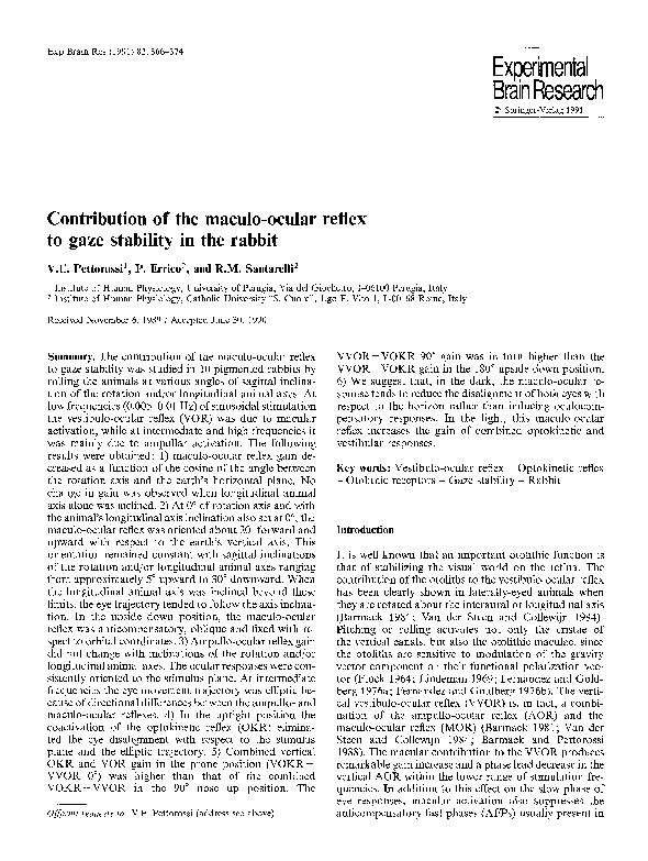 (PDF) Contribution of the maculo-ocular reflex to gaze stability in the ...