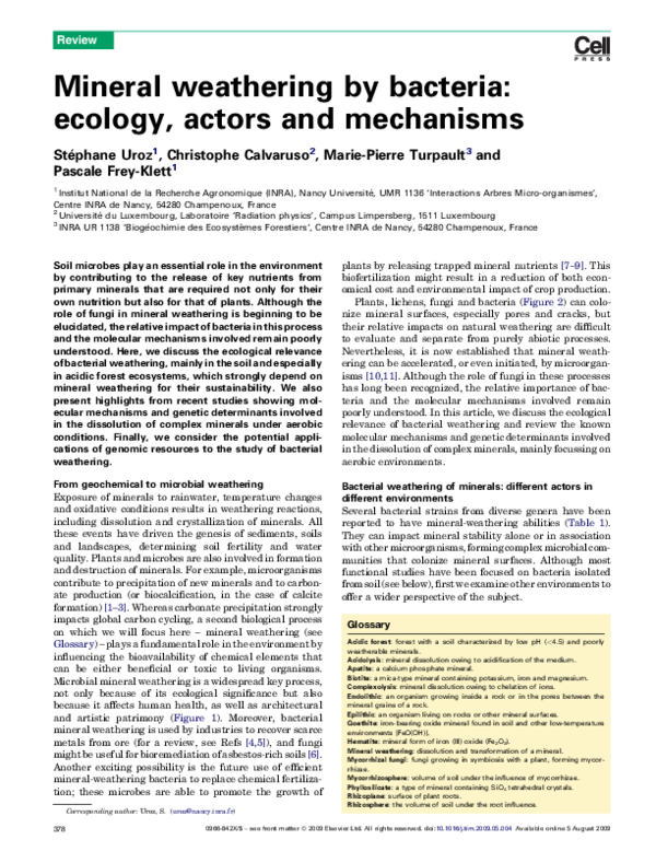 (PDF) Mineral weathering by bacteria: ecology, actors and mechanisms
