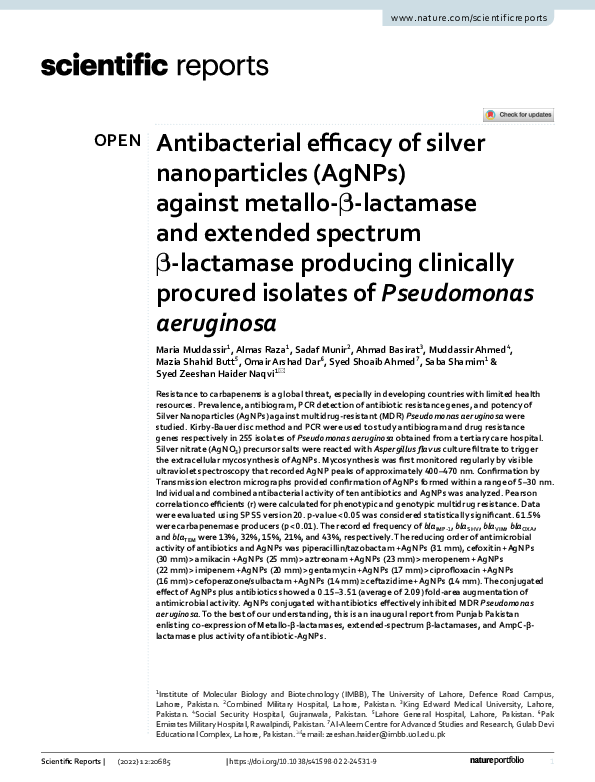 (PDF) Antibacterial efficacy of silver nanoparticles of different sizes, surface conditions and ...