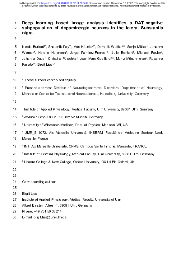 (PDF) Deep learning based image analysis identifies a DAT-negative subpopulation of dopaminergic ...