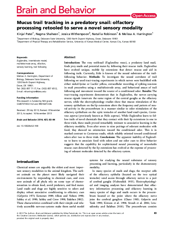 (PDF) Mucus trail tracking in a predatory snail: olfactory processing ...