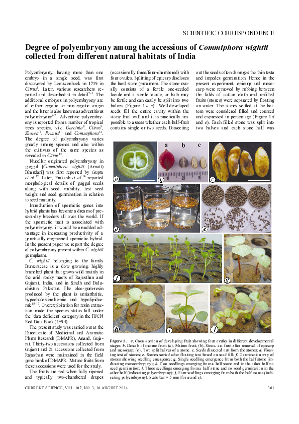 (PDF) Degree of Polyembryony among the Accessions of Commiphora wightii ...
