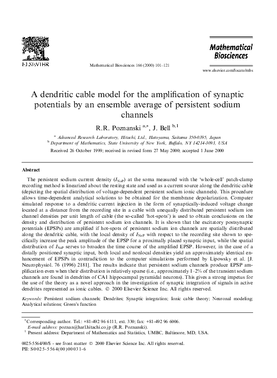 (PDF) A dendritic cable model for the amplification of synaptic potentials by an ensemble ...