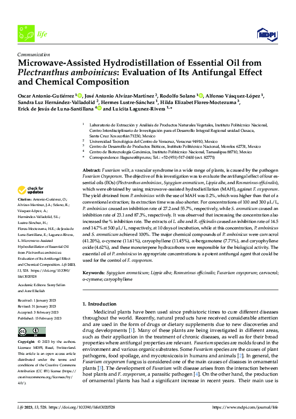 (PDF) Microwave-Assisted Hydrodistillation of Essential Oil from Plectranthus amboinicus ...