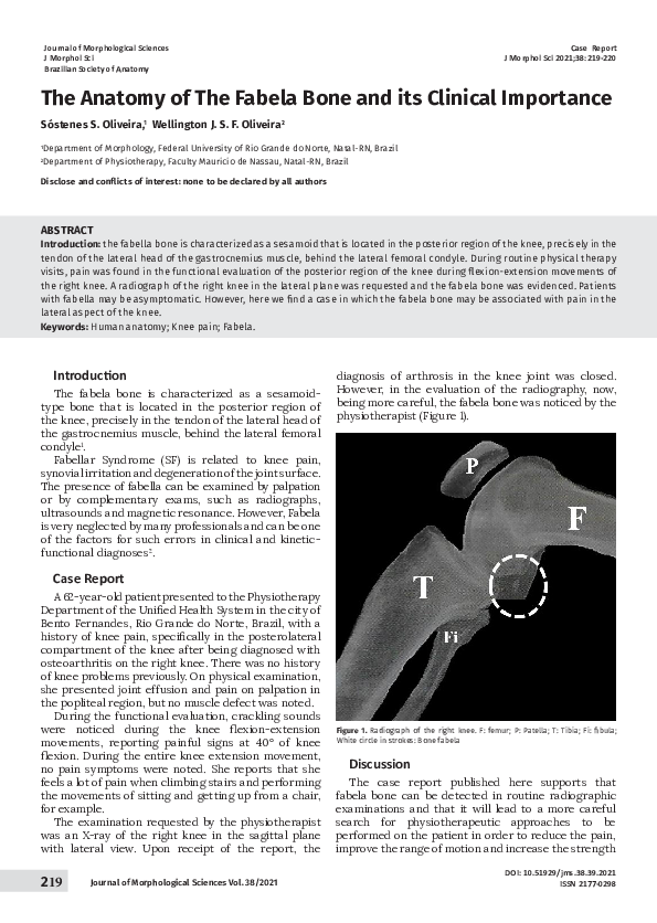 (PDF) The Anatomy of The Fabela Bone and its Clinical Importance