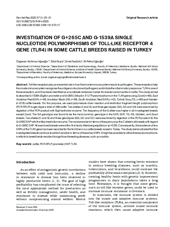 (PDF) Investigation of G+265C and G-1539A Single Nucleotide ...