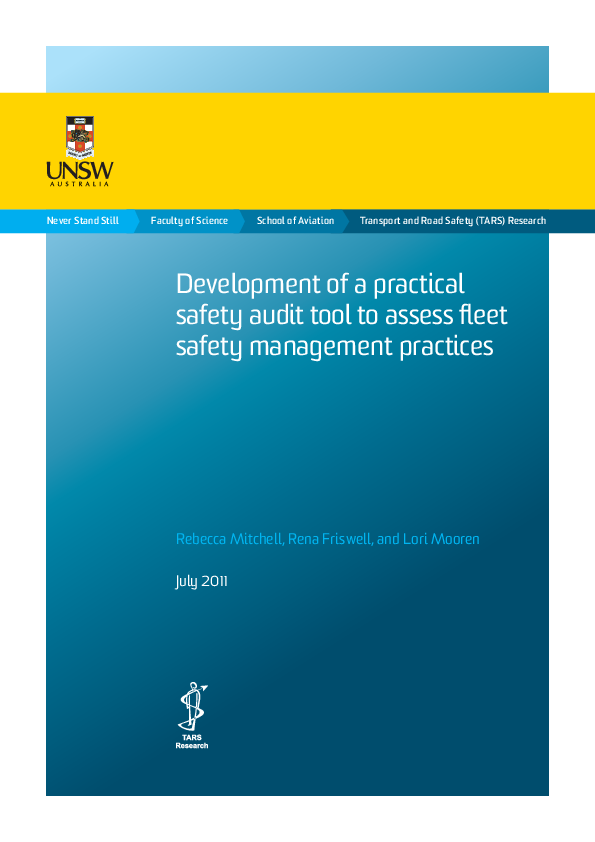 (PDF) Initial development of a practical safety audit tool to assess ...
