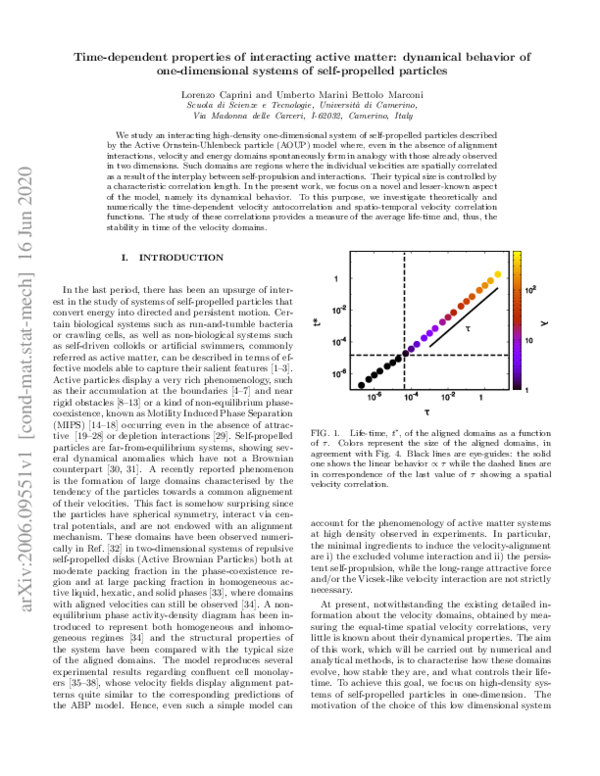 (PDF) Time-dependent properties of interacting active matter: Dynamical ...