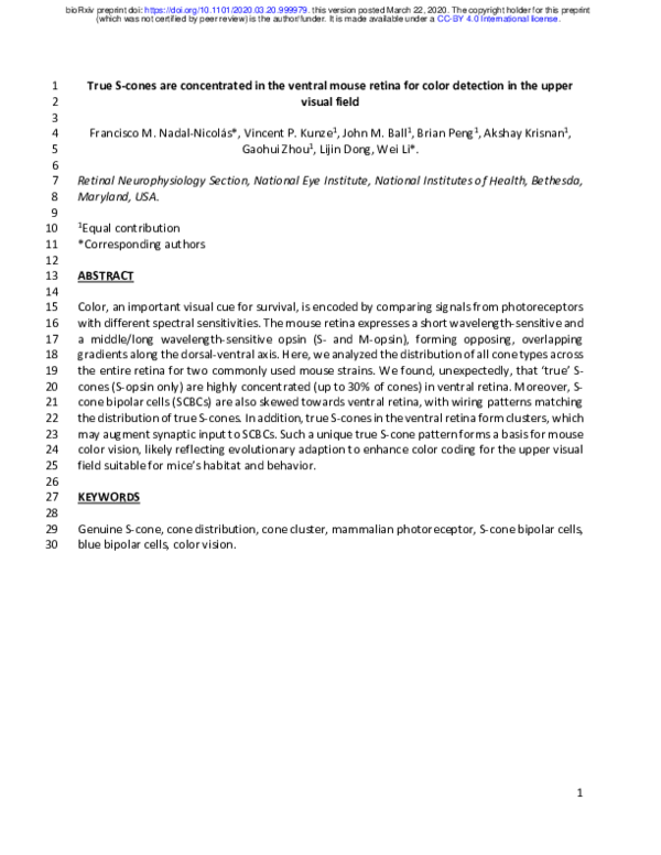 (PDF) True S-cones are concentrated in the ventral mouse retina for ...