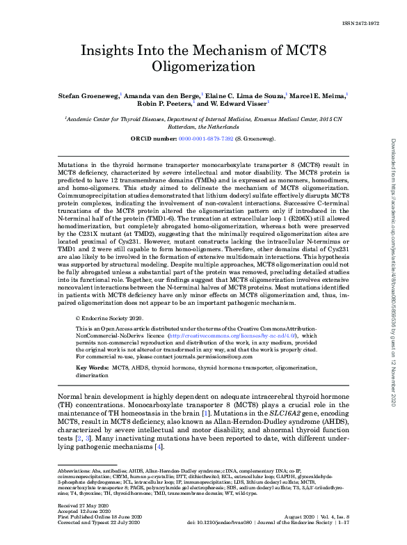 (PDF) Insights Into the Mechanism of MCT8 Oligomerization