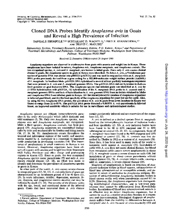 (PDF) Cloned DNA probes identify Anaplasma ovis in goats and reveal a ...