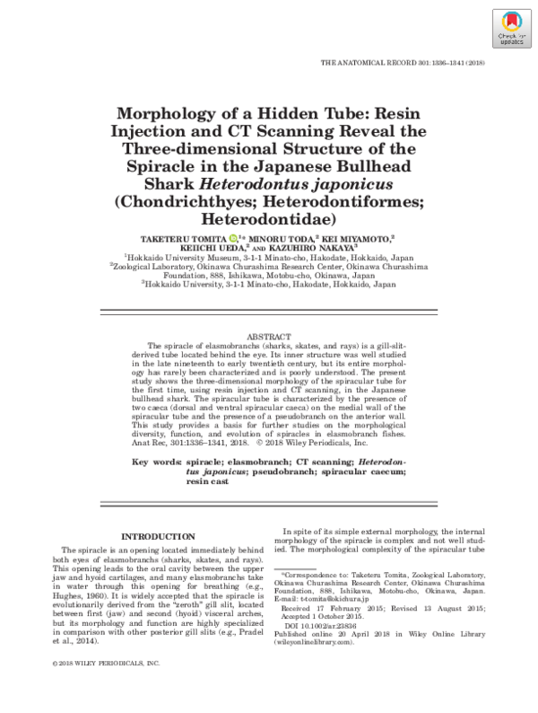 (PDF) Morphology of a Hidden Tube: Resin Injection and CT Scanning ...