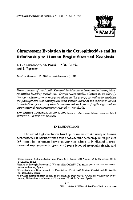 (PDF) Chromosome evolution in the cercopithecidae and its relationship ...