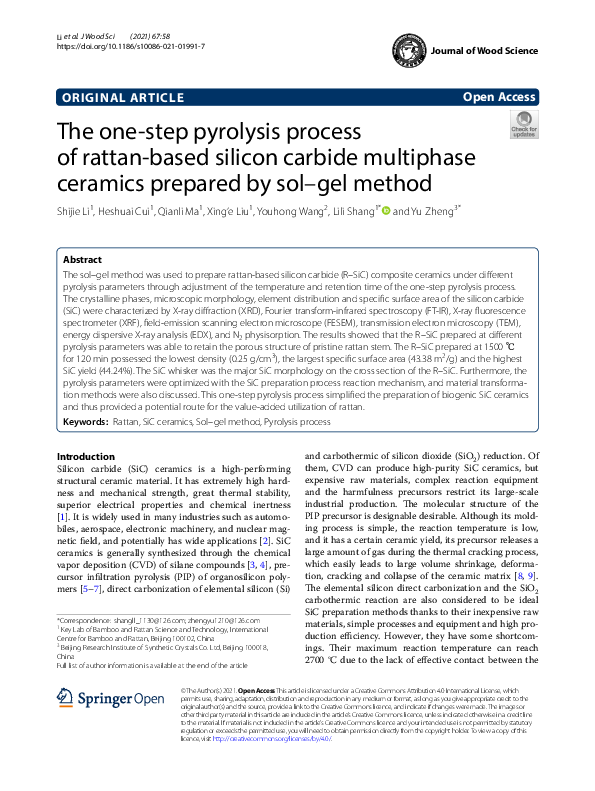 (PDF) The one-step pyrolysis process of rattan-based silicon carbide ...